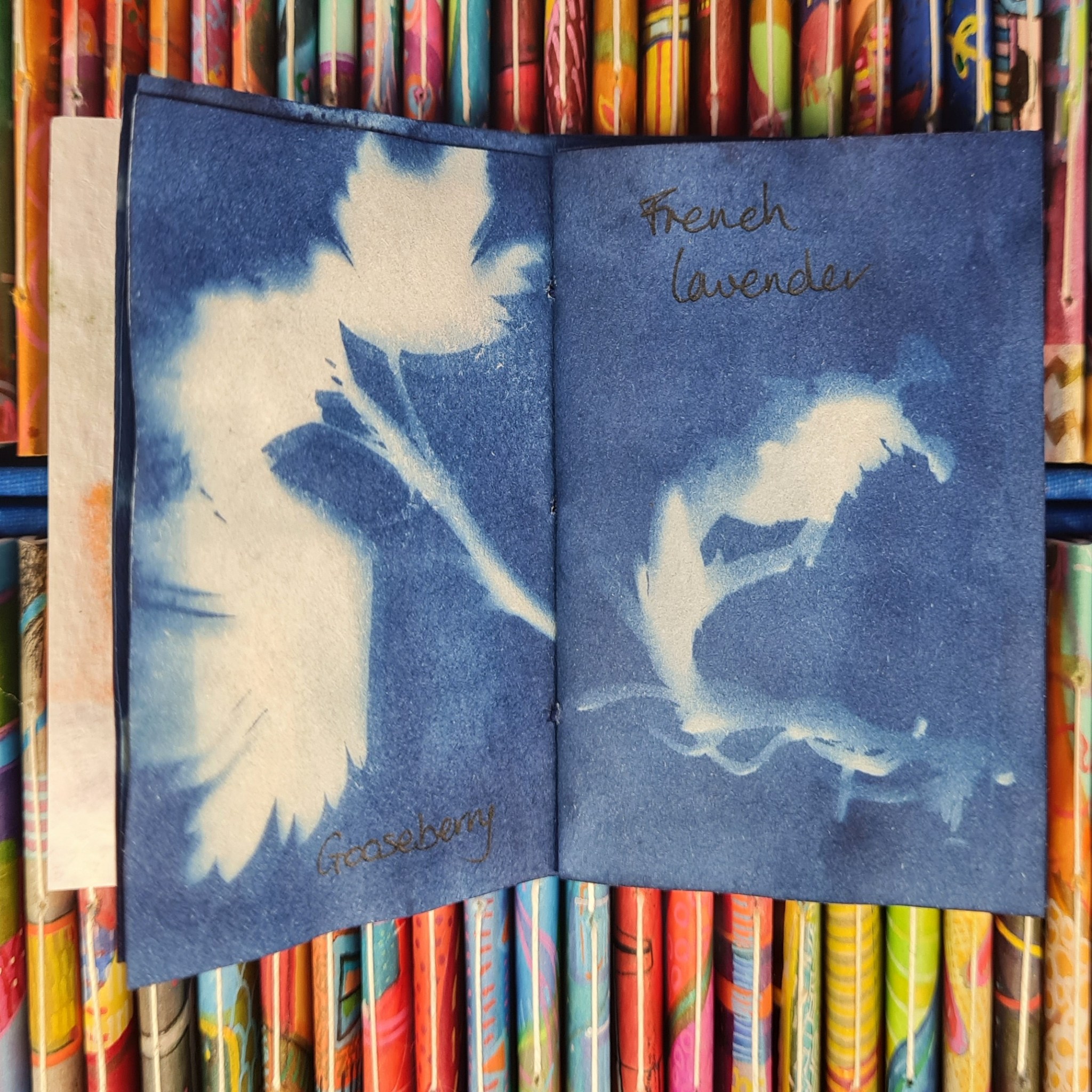 Castles, Coasts, and Craft: Jessica Newby - Bindfulness