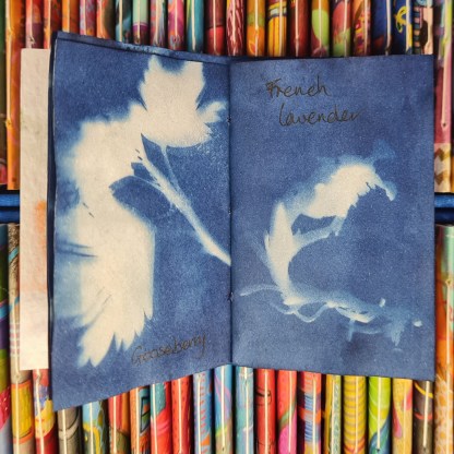 Castles, Coasts, and Craft: Jessica Newby - Bindfulness