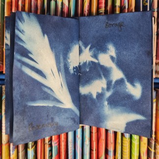 Castles, Coasts, and Craft: Jessica Newby - Bindfulness