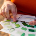 Castles, Coasts, and Craft: Jessica Newby - Bindfulness